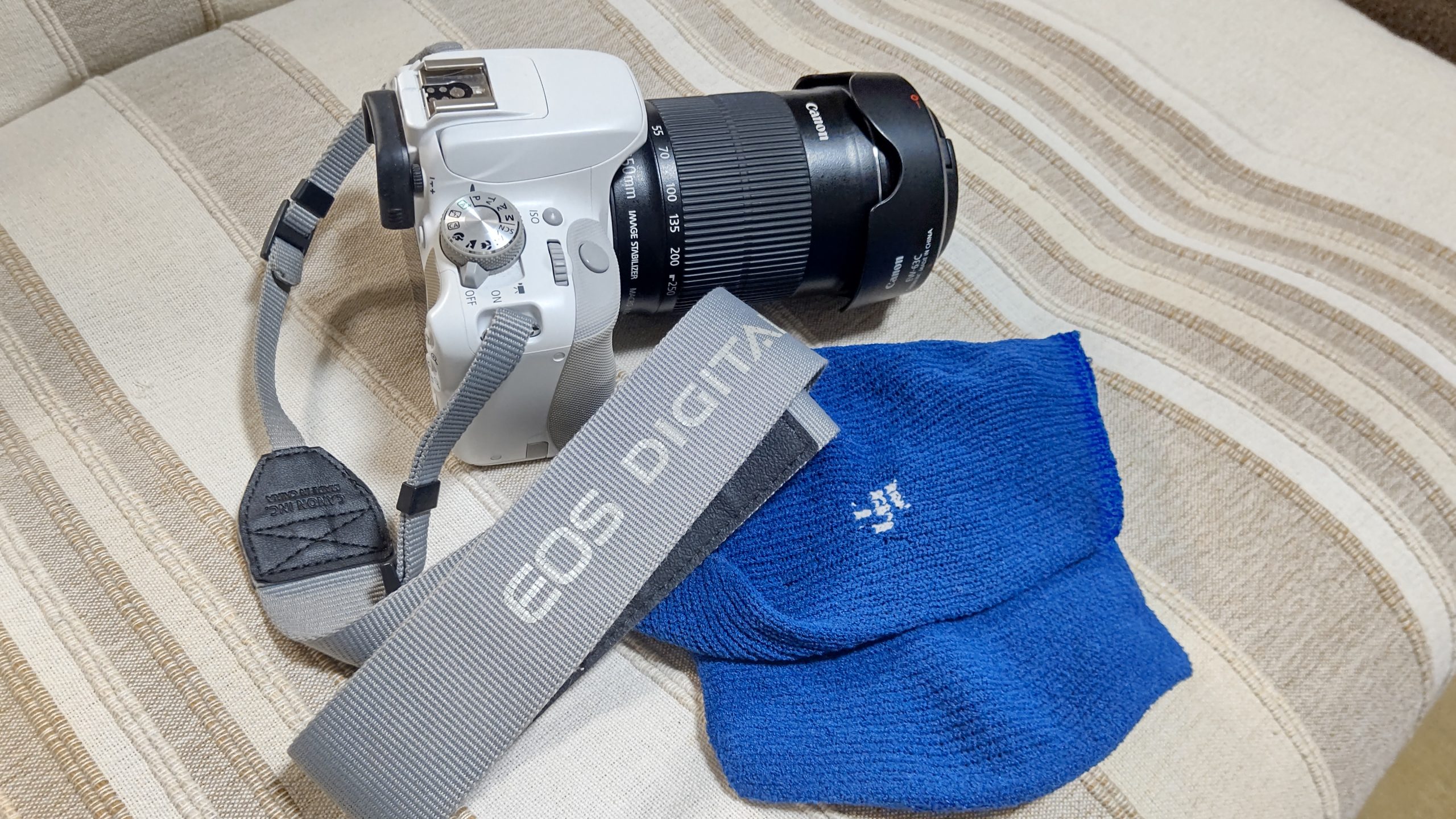 Canon EOS _go（アンドゴー）使用事例 | Plugnautsブログ