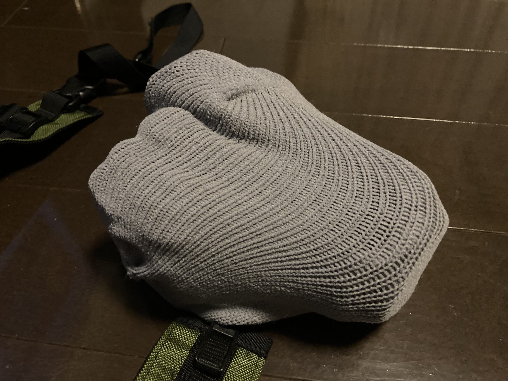 Canon EOS R10 _go（アンドゴー）使用事例 | Plugnautsブログ